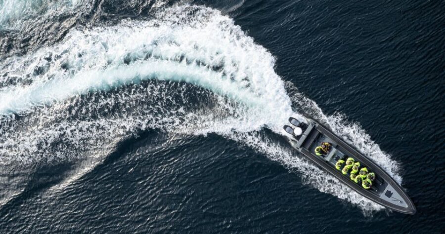 Bodø: Saltstraumen Sea Eagle Trip by RIB - Discovering the Experience: What to Expect