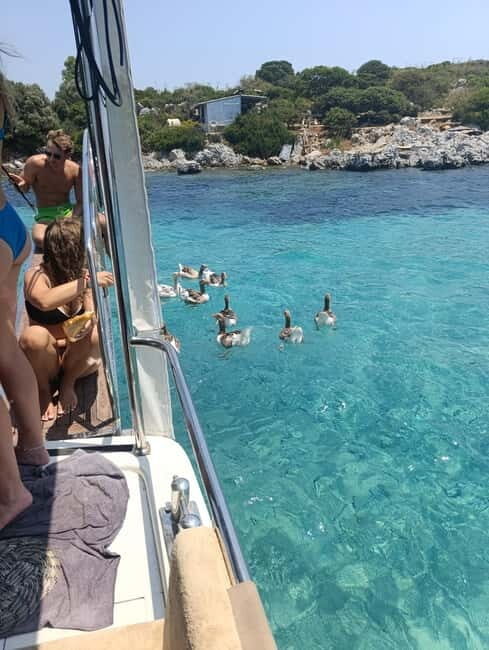Bodrum boat trip starting from Gümbet beach - The Itinerary: What You’ll See and Do