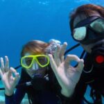 Bodrum: Full-Day Scuba Diving Tour - Key Points at a Glance