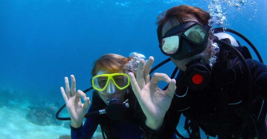 Bodrum: Full-Day Scuba Diving Tour - Key Points at a Glance