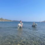 Bodrum Horse Riding Adventure - What to Expect from Your Horseback Ride