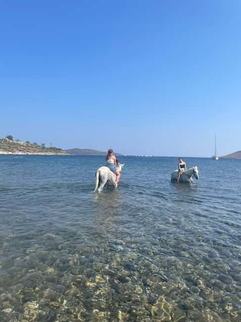 Bodrum Horse Riding Adventure - What to Expect from Your Horseback Ride