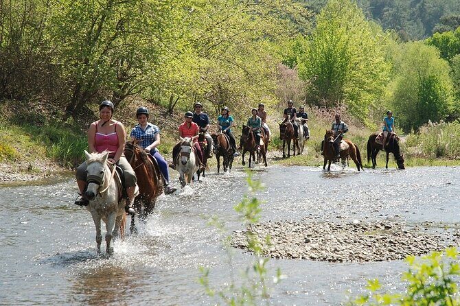 Bodrum Horse Riding Experience w/ Hotel Transfer Service - The Sum Up: Who Will Love This Experience?