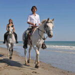 Bodrum: Horseback Riding Experience with Hotel Transfer - What Makes This Tour Stand Out?