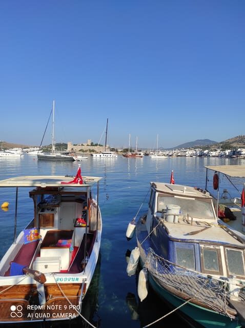 Bodrum like a local by walk - Valuing the Experience: Price, Duration, and Quality