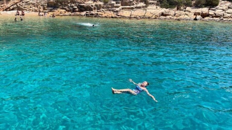 Bodrum Orak Island Boat Cruise with Lunch and Swimming - Swimming, Snorkeling, and Marine Life