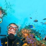 Bodrum: Scuba Diving Briefing & Diving Experience - Introduction: What’s This Bodrum Scuba Tour All About?