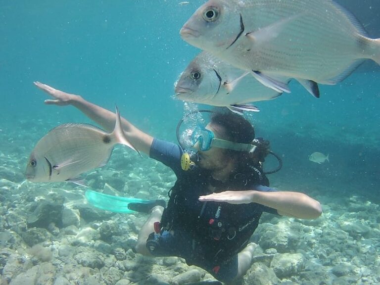 Bodrum: Scuba Diving Trip with Lunch - A Detailed Breakdown of the Experience