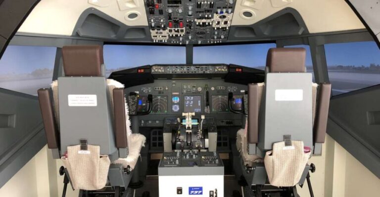 Boeing 737-800 Professional simulator - 30 minutes - The Sum Up: Who Is This For?