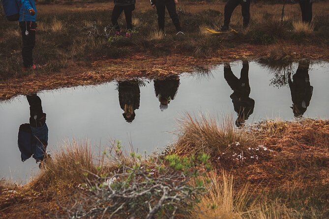 Bog-shoe Hiking Tour - Key Points