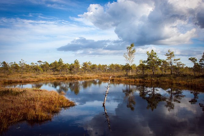 Bogs and Resorts in Jrmala - Key Points