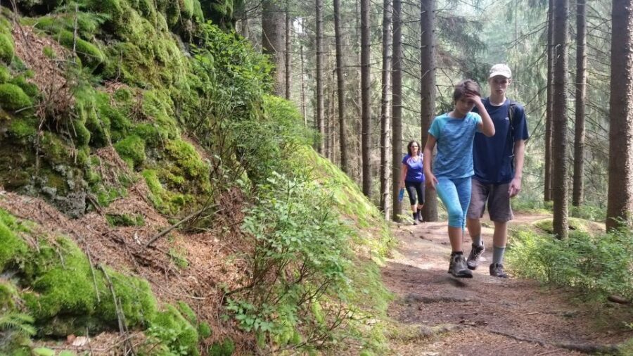 Bohemian Switzerland: Private Day Trip from Prague - What Makes It Special