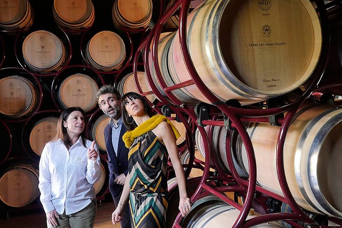 Bolgheri: Premium Wine Tasting with Winery Tour - A Closer Look at the Tour Experience