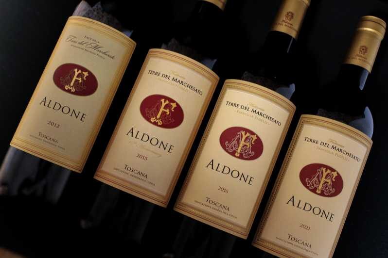 BOLGHERI: Vertical Wine-tasting at Terre del Marchesato - The Setting and Atmosphere
