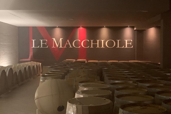 Bolgheri Wine Tour from Lucca - Key Points