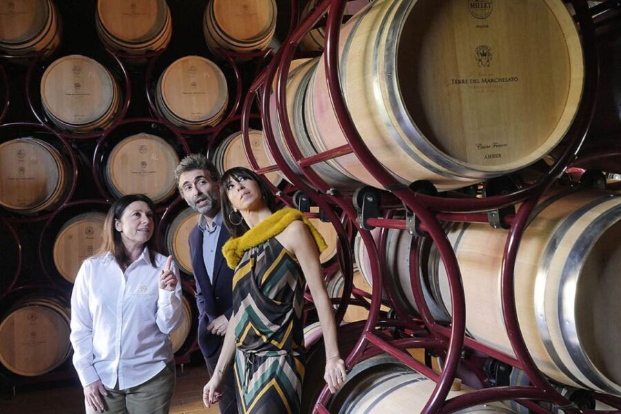 Bolgheri: Winery Tour with Wine Tasting - An In-Depth Look at the Tour Experience