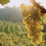 Bologna: E-Bike Guided Tour with Aperitivo - Why This Tour Is a Great Choice