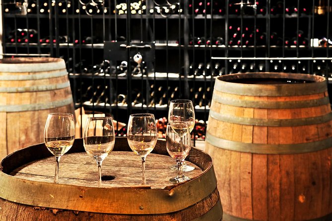 Bologna Exclusive Italian Wine Tasting in the centre - The Guide and the Experience