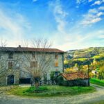 Bologna Forlì: cooking class, home-made pasta, with dinner - Is It Worth the Price?