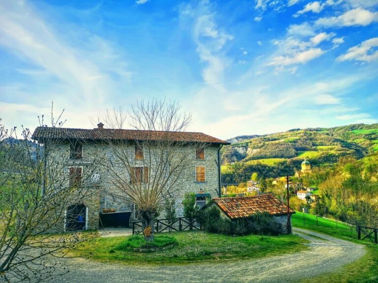 Bologna Forlì: cooking class, home-made pasta, with dinner - Is It Worth the Price?