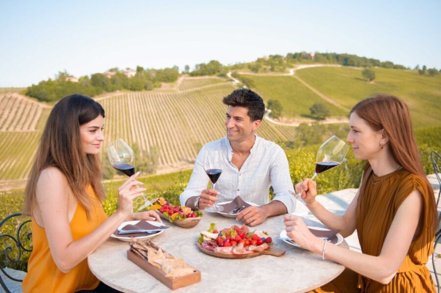 Bologna: Olive Grove and Vineyard Tour with Product Tastings - Practical Details That Matter