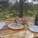Bologna: Parmigiano, Wine and Balsamic Vinegar experience - Transport, Group Size, and Value