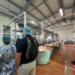 Bologna: Super Cars, Parmesan and Balsamic Tour with Lunch - Practicalities and Insights