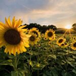 Bologna Surroundings Photo Tour: Rolling Hills and Badlands - The Sum Up: Who Should Book This Tour?