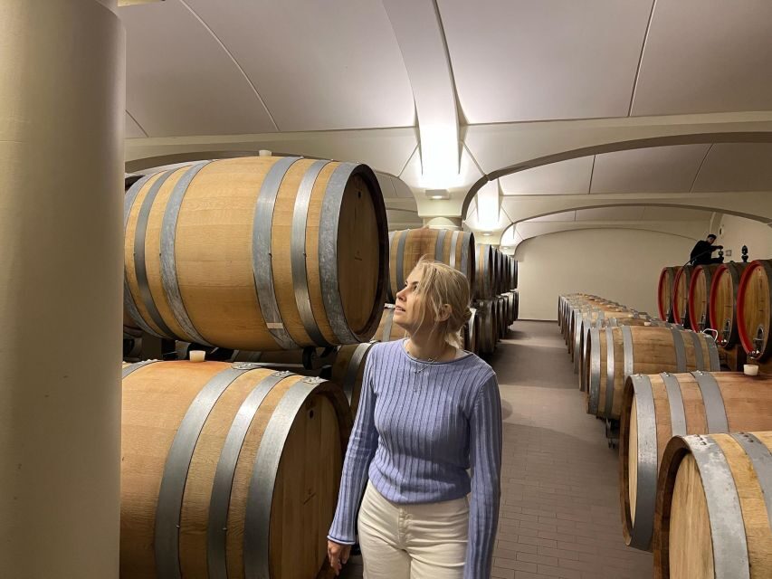 Bologna Vineyard Vista: a journey through Emilian wines - Exploring the vineyards and cellars