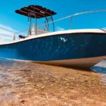 Bonifacio: Guided Boat Tour and Snorkeling - Final Thoughts