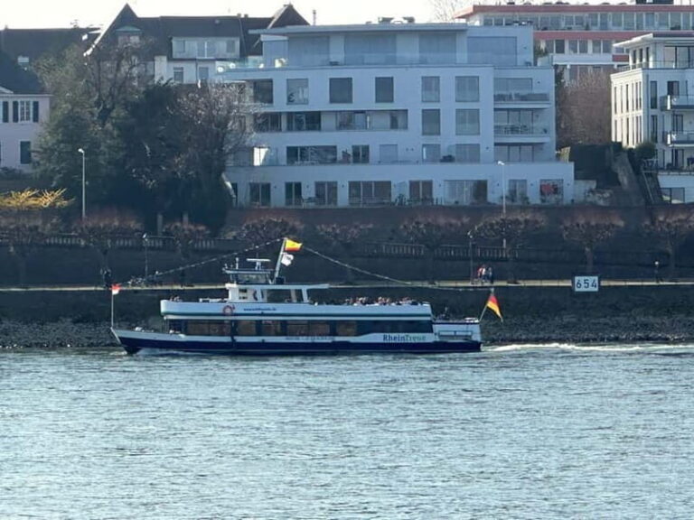 Bonn: Winter tour by boat with mulled wine - Why This Tour Matters