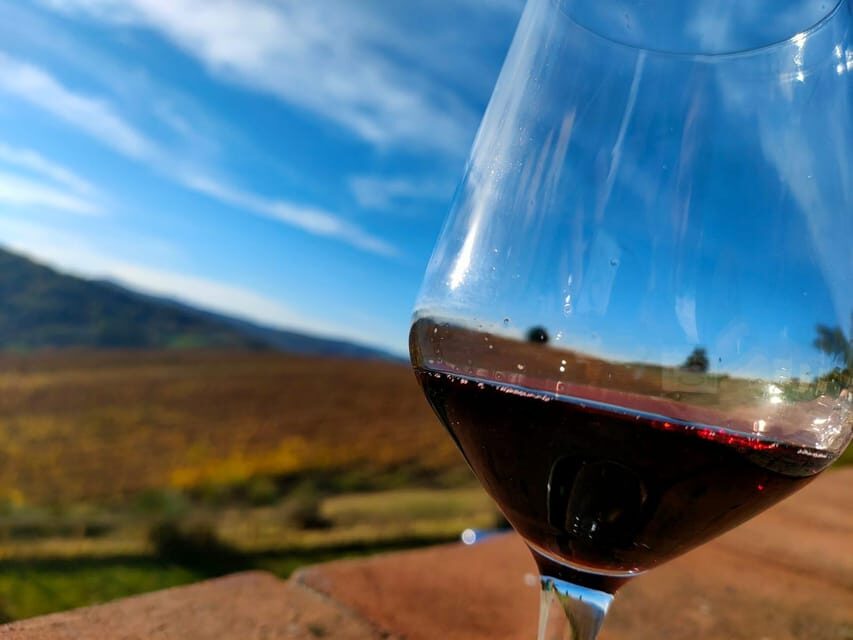 Bonzara Estate - Tour and wine tasting in the Colli Bolognesi - What to Expect on the Tour