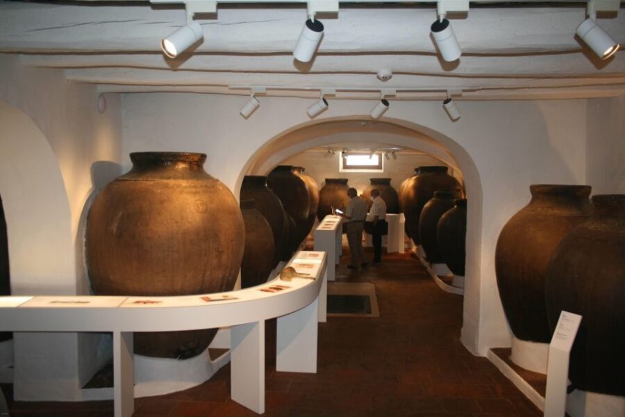Borba: Winery Tour with Wine and Alentejo Products Tasting - Final Thoughts