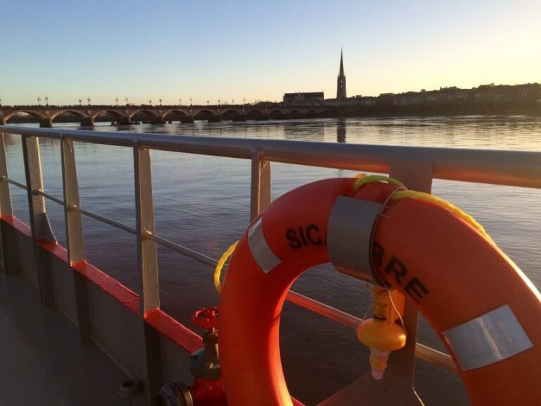 Bordeaux: 2-Hour River Dinner Cruise - Authentic Feedback from Travelers