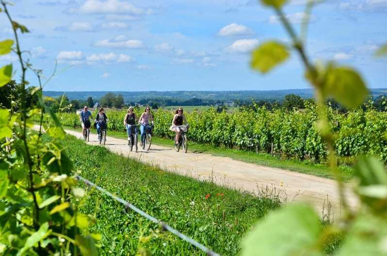 Bordeaux Backcountry E-Bike Tour with Lunch & Wine Tasting - Itinerary and What You Can Expect