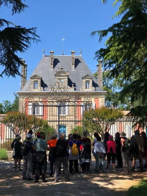 Bordeaux: Château Saint Ahon classic tour - The Tasting Experience