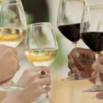 Bordeaux : Full Day Wine Tastings & Lunch - An In-Depth Look at the Bordeaux Full Day Wine Tour
