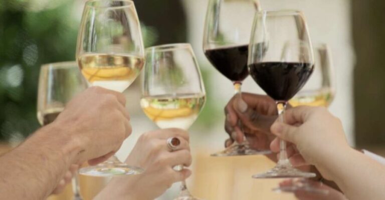 Bordeaux : Full Day Wine Tastings & Lunch - An In-Depth Look at the Bordeaux Full Day Wine Tour