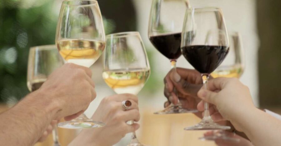 Bordeaux : Full Day Wine Tastings & Lunch - An In-Depth Look at the Bordeaux Full Day Wine Tour