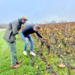 Bordeaux: Graves, Pessac-Léognan, and Sauternes Vineyards - Visiting Two Châteaux: Deep Dives into Bordeaux’s Winemaking