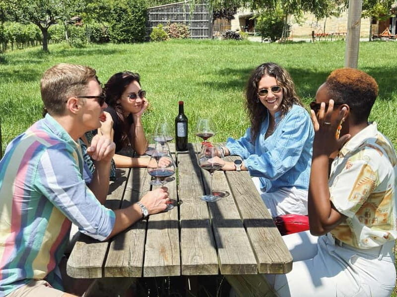 Bordeaux: Half-Day Private Natural Wine Tour & Tasting - Tour Itinerary Breakdown