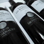 Bordeaux: Medoc Wine Tour to Le Verdon Cruise Port - Who Is This Tour Best For?