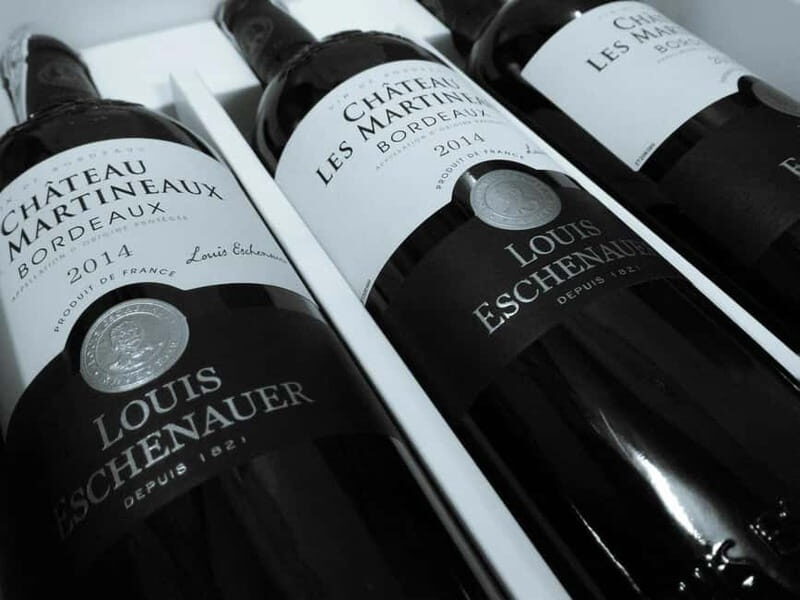 Bordeaux: Medoc Wine Tour to Le Verdon Cruise Port - Who Is This Tour Best For?