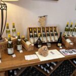 Bordeaux Private Walking & Tasting Tour - What to Expect on the Tour