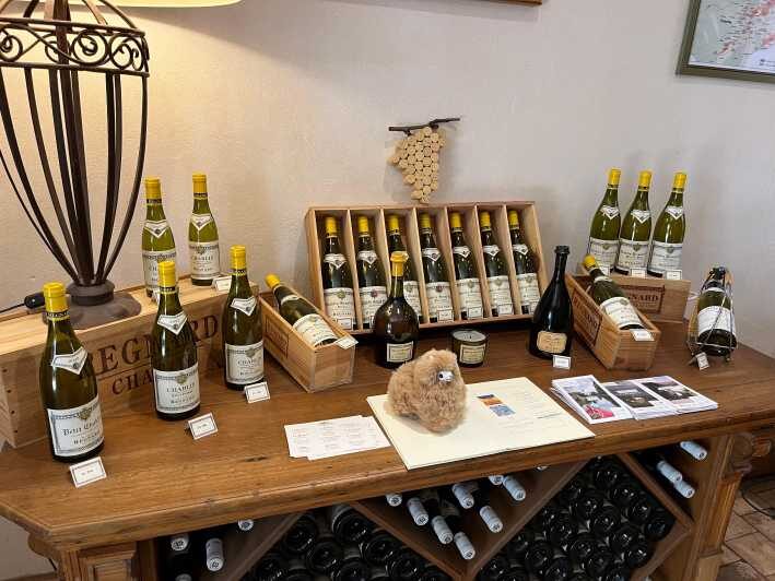 Bordeaux Private Walking & Tasting Tour - What to Expect on the Tour