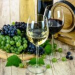 Bordeaux: River Garonne Cruise with Glass of Wine and Canelé - Who Will Love This Tour?