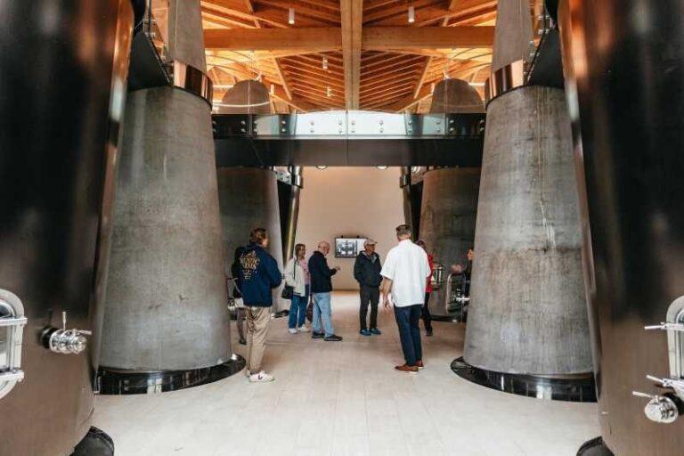 Bordeaux: St. Emilion Day Trip with Wine Tasting and Lunch - Picnic Lunch at the Château