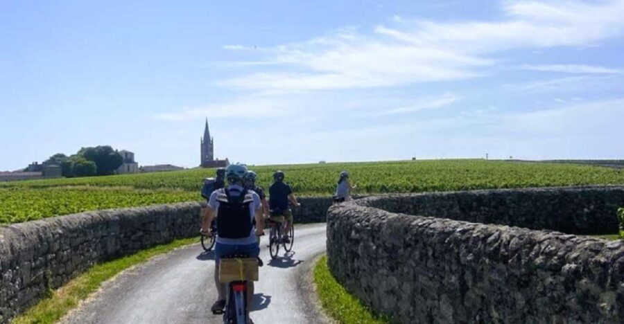 Bordeaux: St-Emilion Vineyards e-Bike Tour with Wine & Lunch - How the Experience Comes to Life
