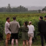 Bordeaux: St. Emilion Wine and E-Bike Tour with Lunch - The Stops and Scenic Highlights