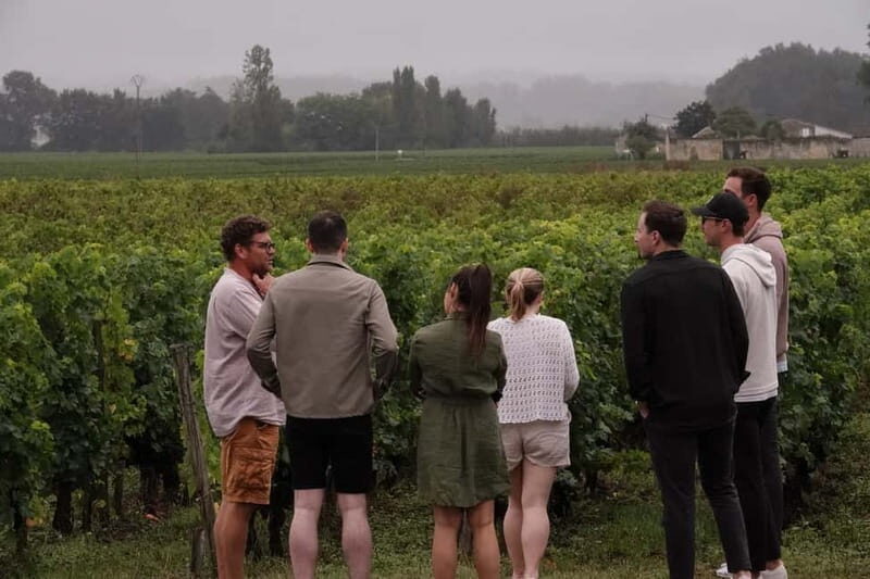 Bordeaux: St. Emilion Wine and E-Bike Tour with Lunch - The Stops and Scenic Highlights